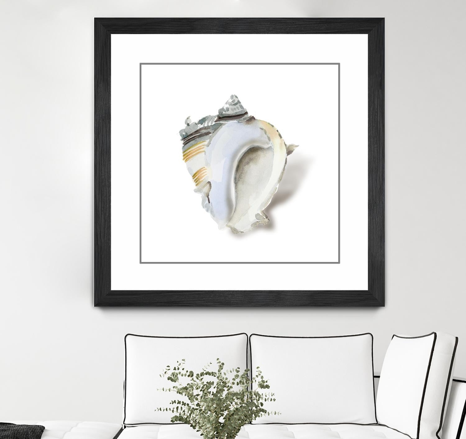 Œuvre d’art murale encadrée noire et mate « Seafoam Shell » 30 x 30 - Brick