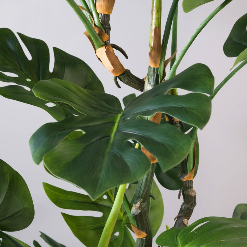 Plante artificielle monstera 61 po - Brick